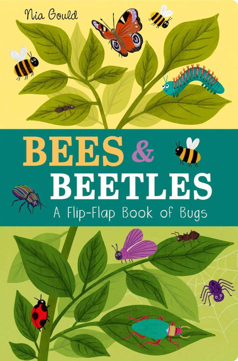 Buy Bees & Beetles: A Flip-Flap Book of Bugs – The Chart & Map Shop