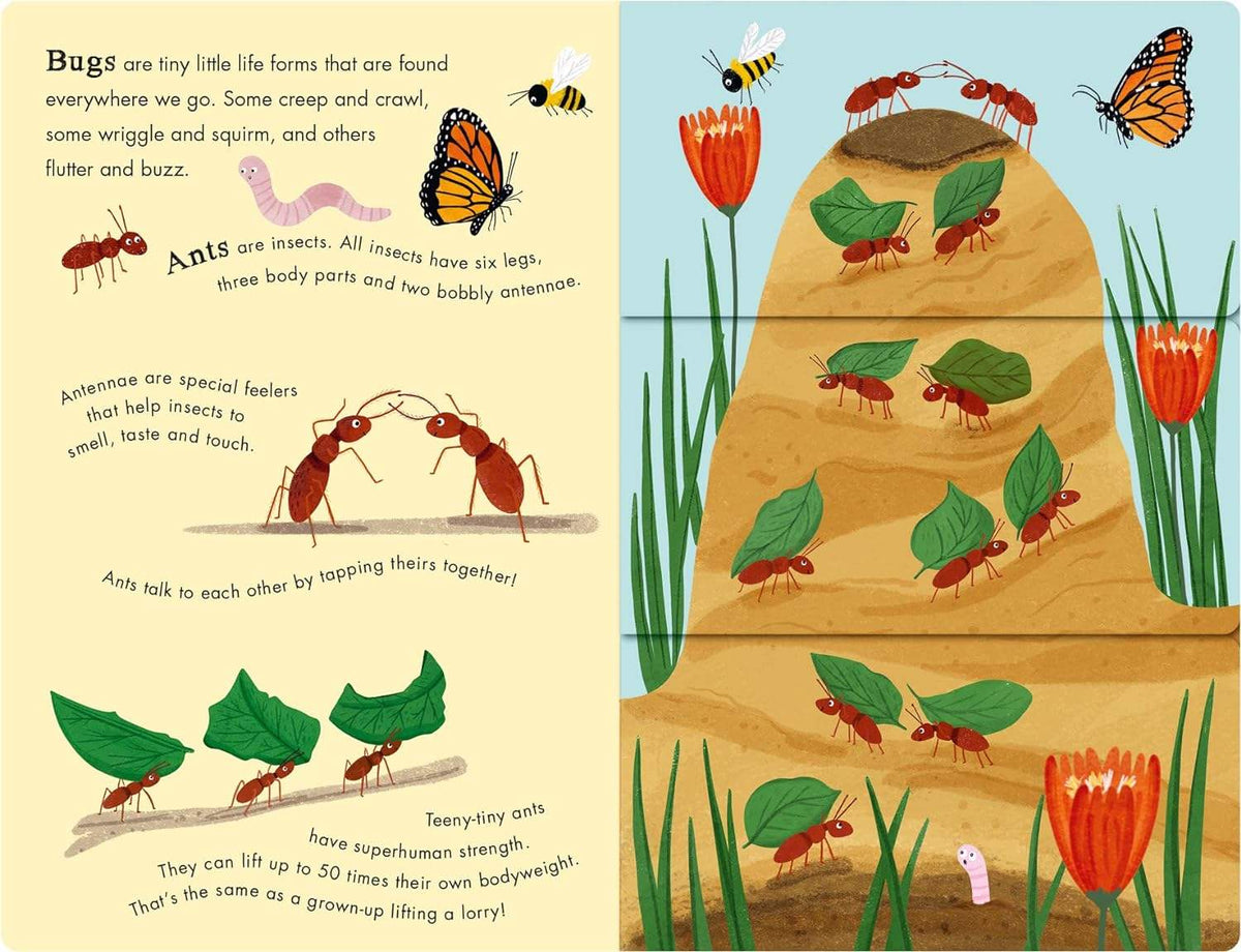 Buy Bees & Beetles: A Flip-Flap Book of Bugs – The Chart & Map Shop