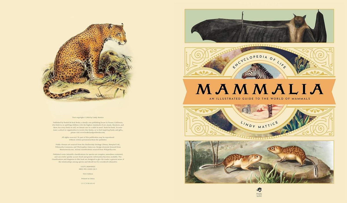 Buy Mammalia: An Illustrated Guide to the World of Mammals – The Chart ...