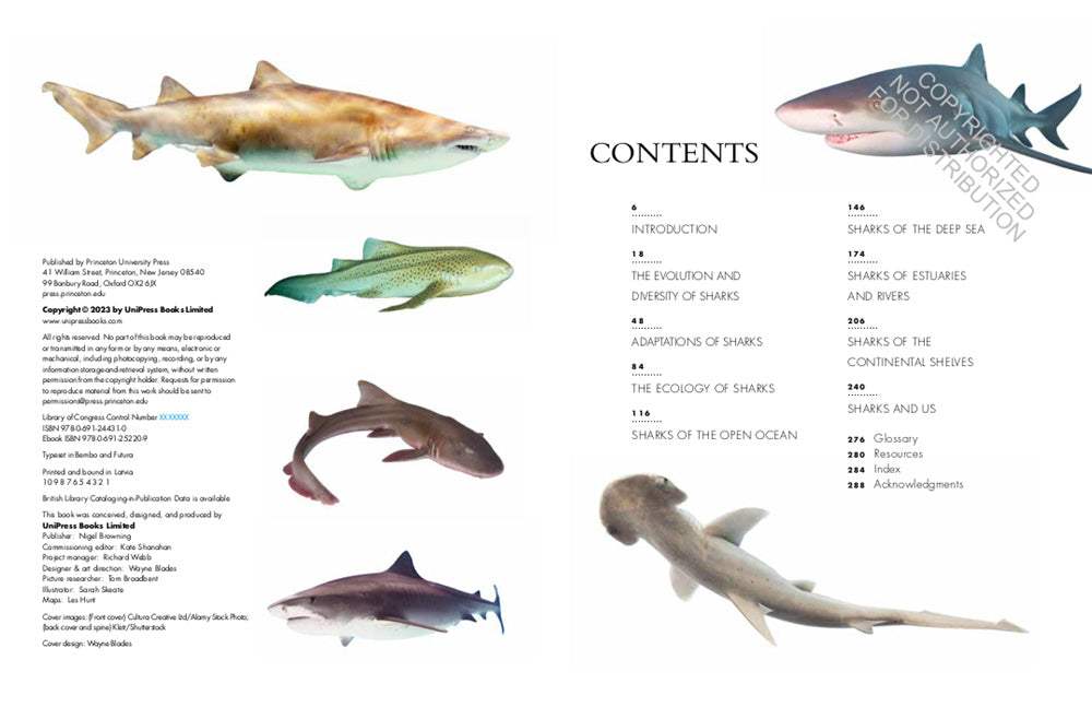 Buy The Lives of Sharks: A Natural History of Shark Life – The Chart & Map Shop