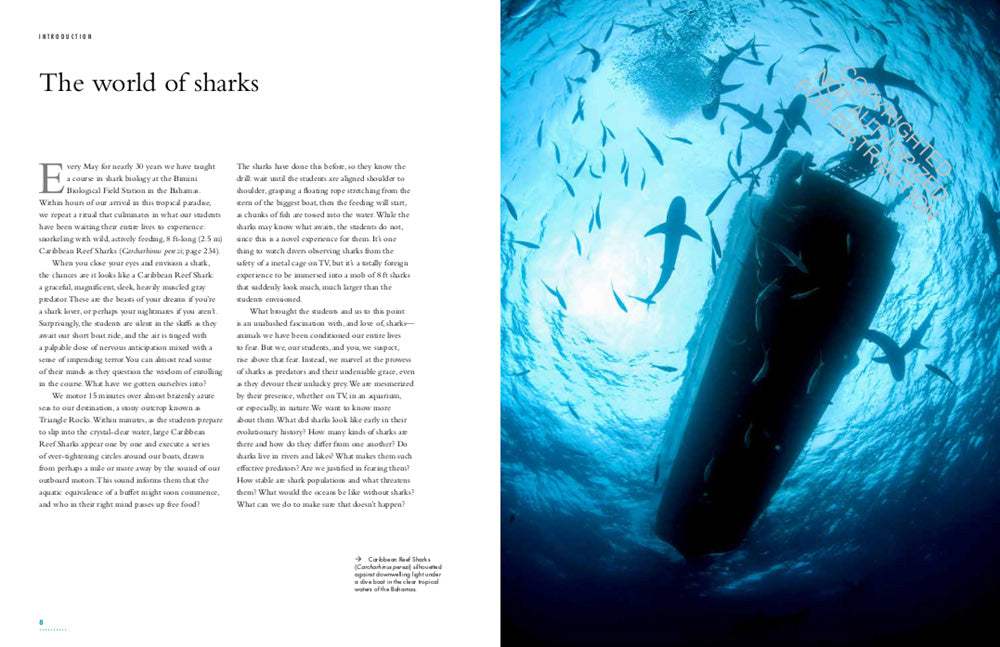 Buy The Lives of Sharks: A Natural History of Shark Life – The Chart & Map Shop