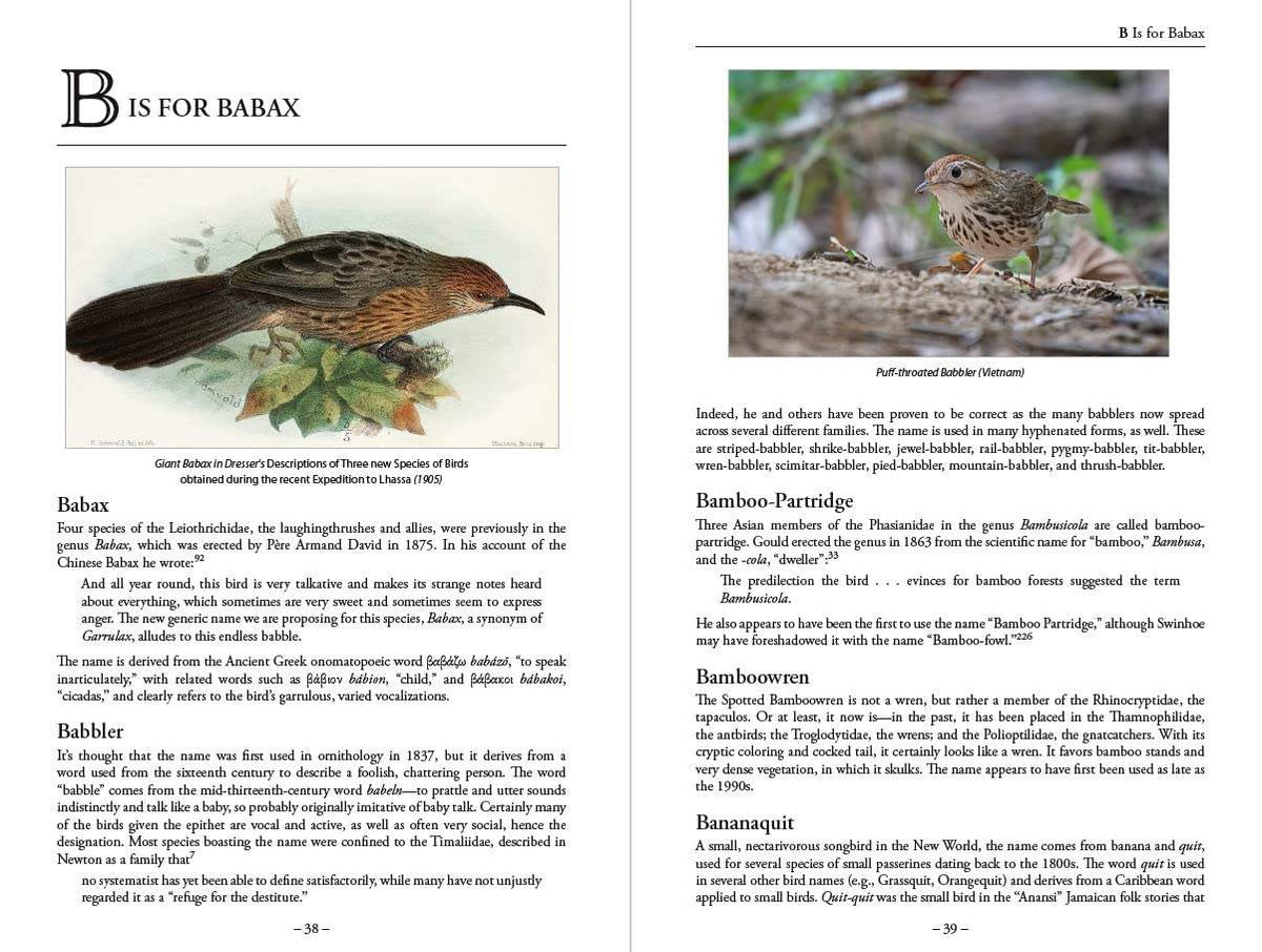 Buy The Bird Name Book – The Chart & Map Shop