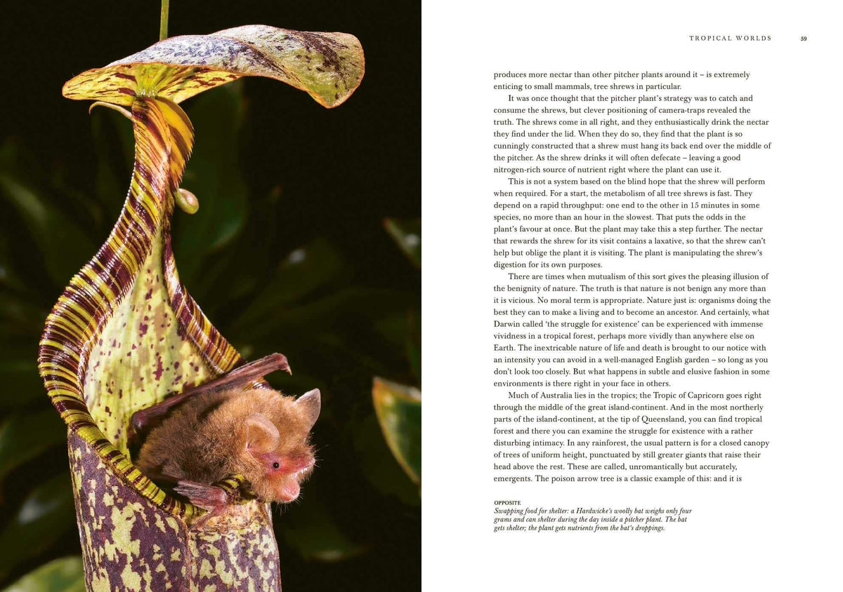 Buy The Green Planet – The Chart & Map Shop