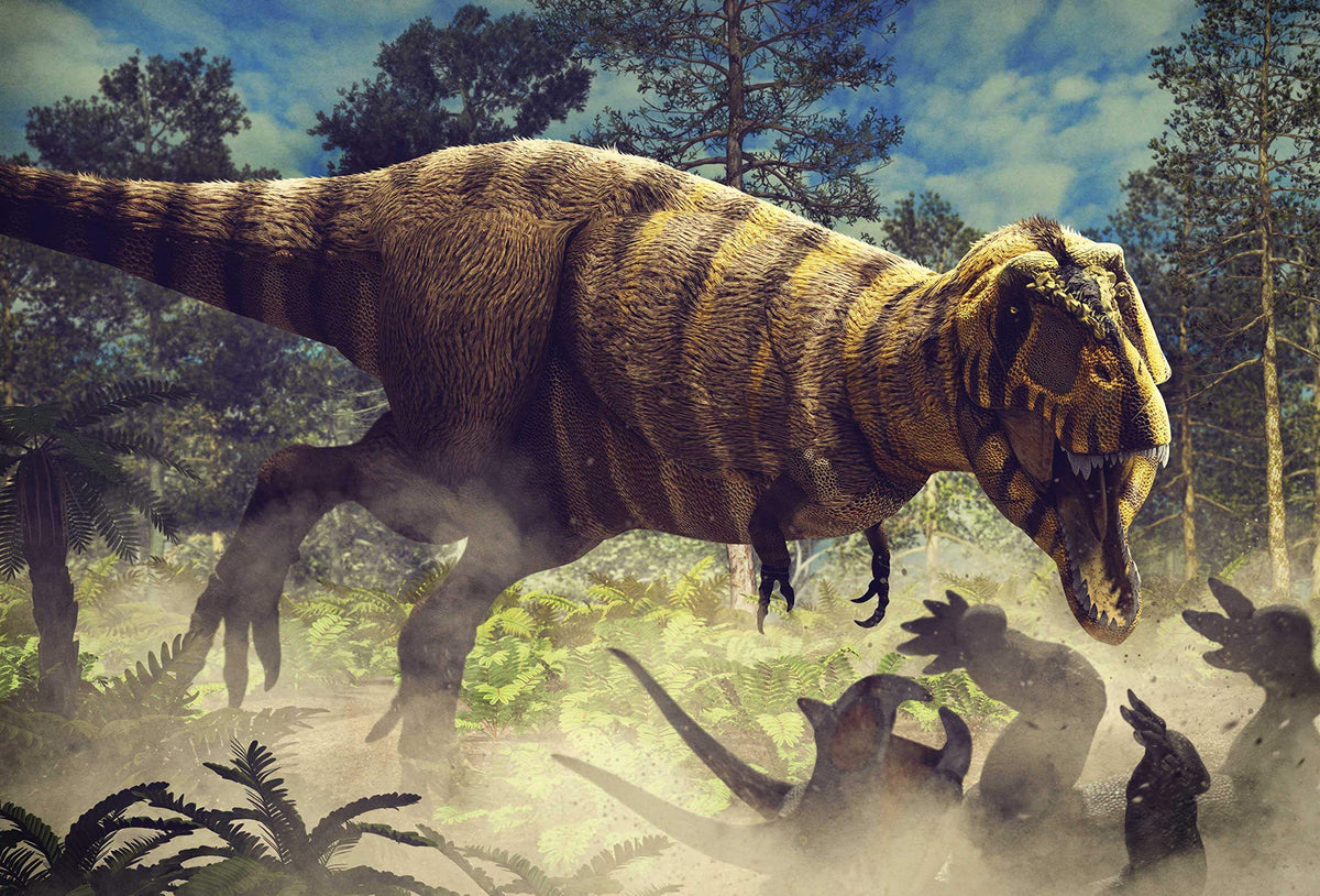 Buy All About Dinosaurs – The Chart & Map Shop