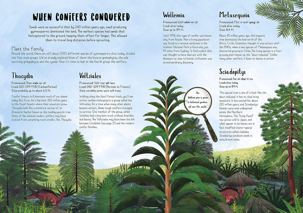 Buy When Plants Took Over the Planet: The Amazing Story of Plant ...