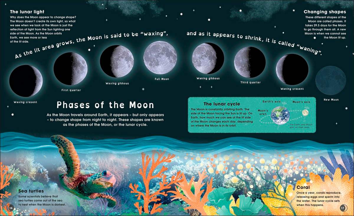 Buy The Moon: Discover the Mysteries of Earth's Closest Neighbour – The ...