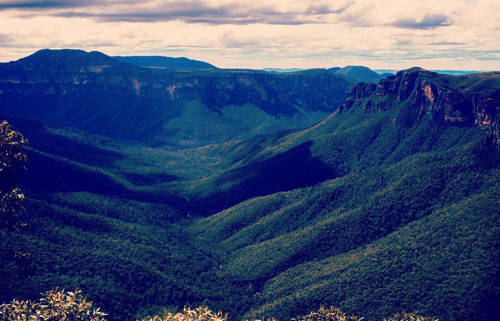 Bush Survival Tips – The Chart & Map Shop