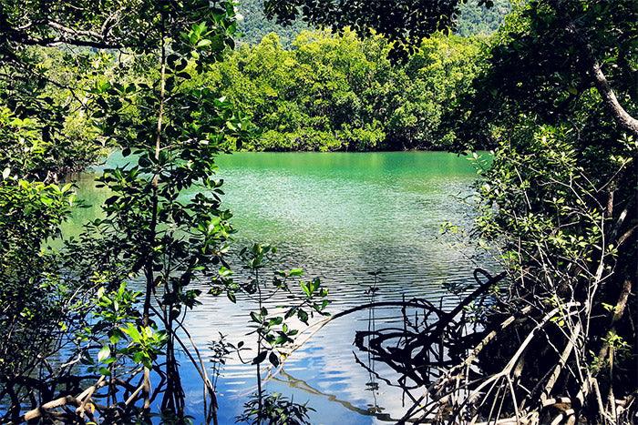 Free Camping QLD - A Guide to Queensland's Best Free Camp Grounds – The ...