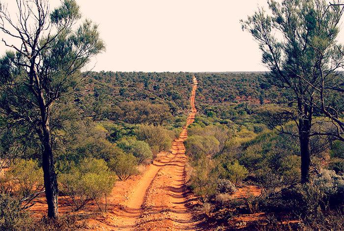 Googs Track – Funny Name, Great 4WD Track – The Chart & Map Shop