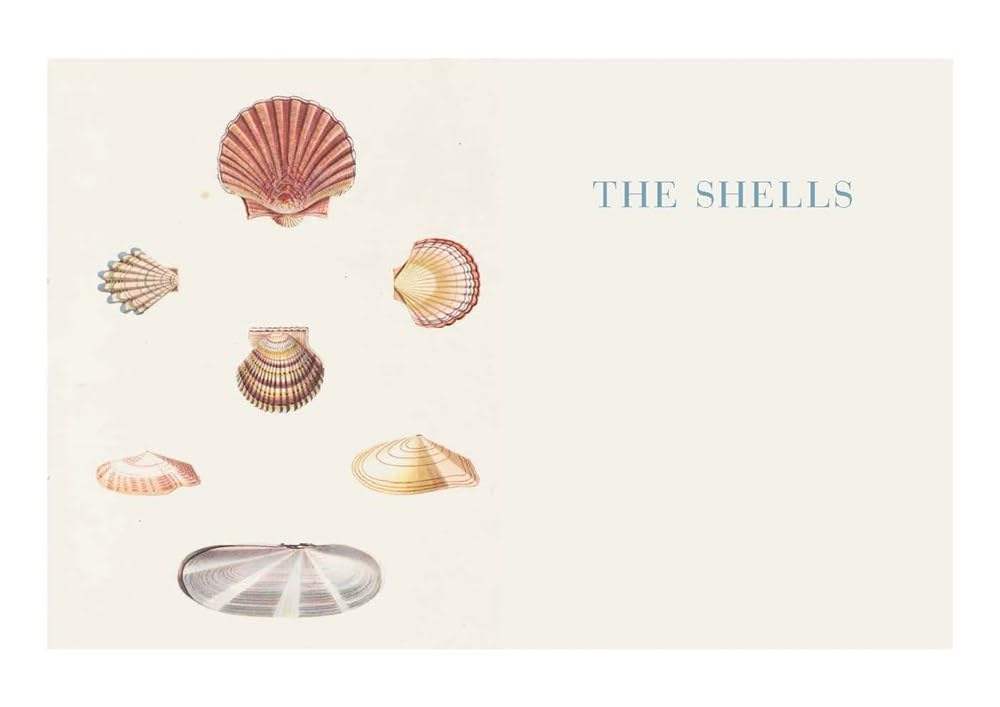 Buy Beautiful Shells – The Chart & Map Shop