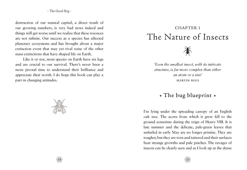 Buy The Good Bug: A Celebration of Insects – and What We Can Do to ...