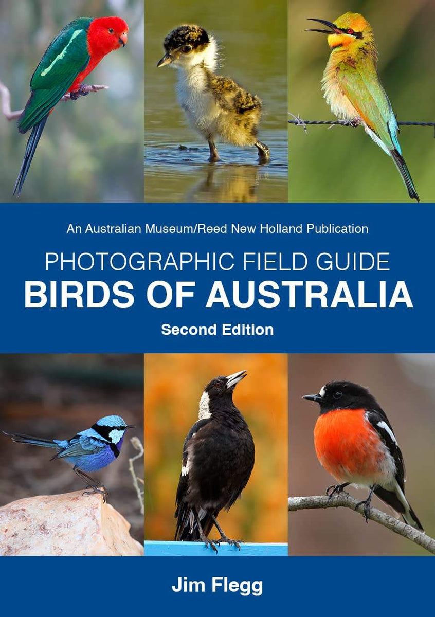 Buy Photographic Guide to Birds of Australia (2nd Edition) – The Chart ...