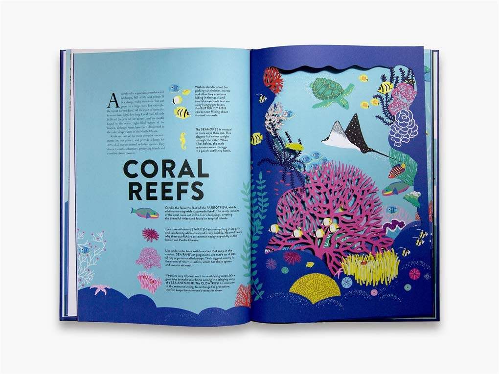 Buy Ocean The Chart Map Shop