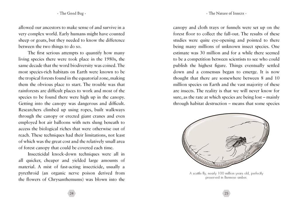 Buy The Good Bug: A Celebration of Insects – and What We Can Do to ...