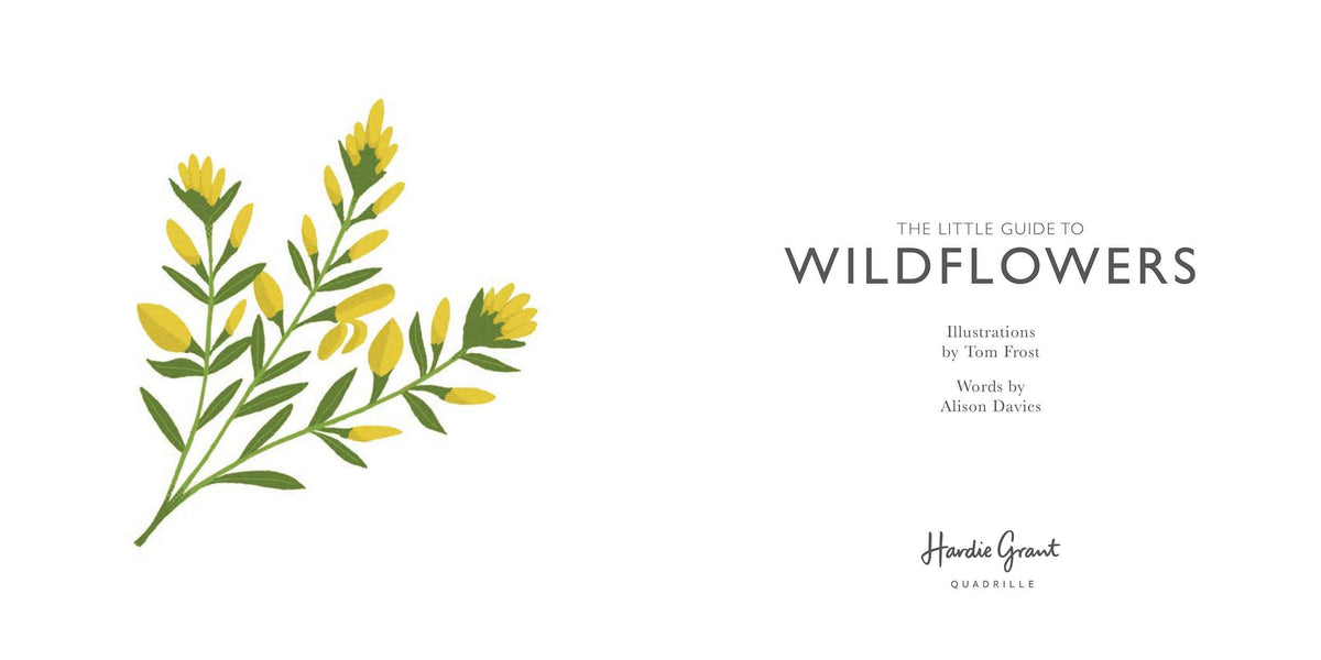 Buy The Little Guide to Wildflowers – The Chart & Map Shop