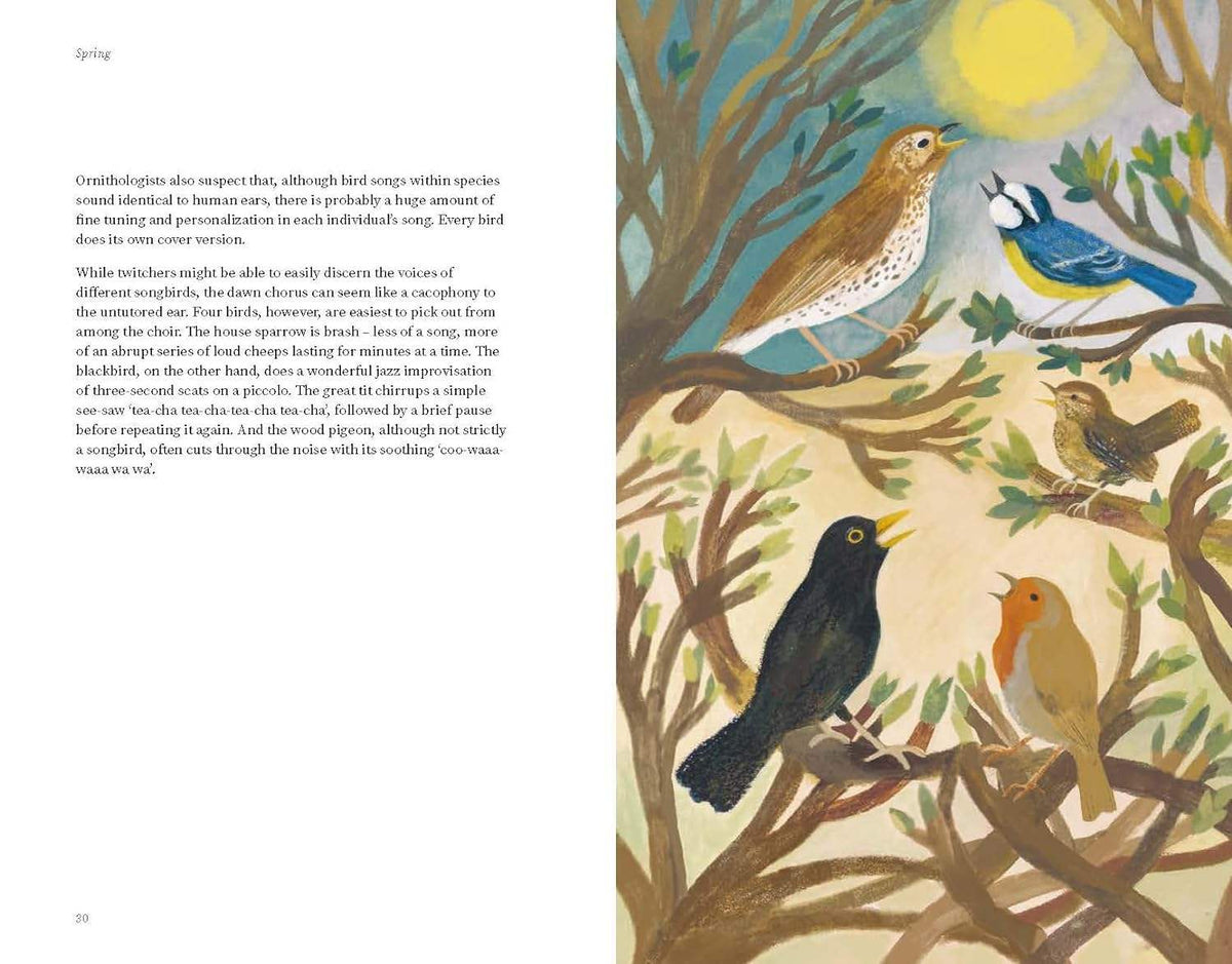 Buy The Wildlife Year: How to Reconnect with Nature Through the Seasons ...
