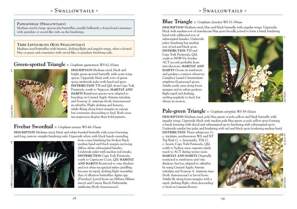 Buy A Naturalist's Guide to the Butterflies of Australia by Australian ...