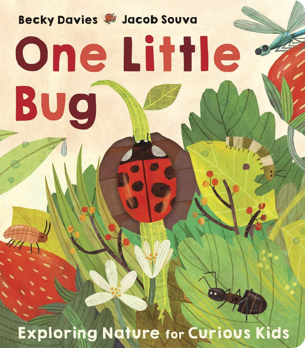 Buy One Little Bug – The Chart & Map Shop