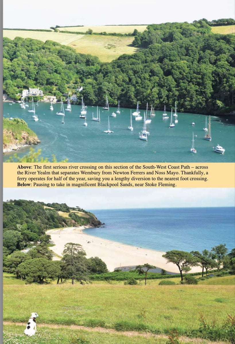 Buy Trailblazer Dorset & South Devon Coast Path: Plymouth to Poole ...