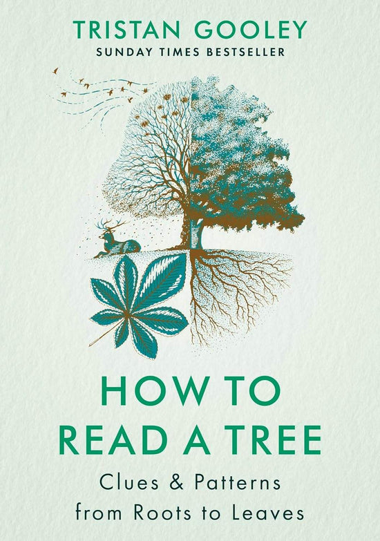 Buy How to Read a Tree: Clue & Patterns from Roots to Leaves – The ...
