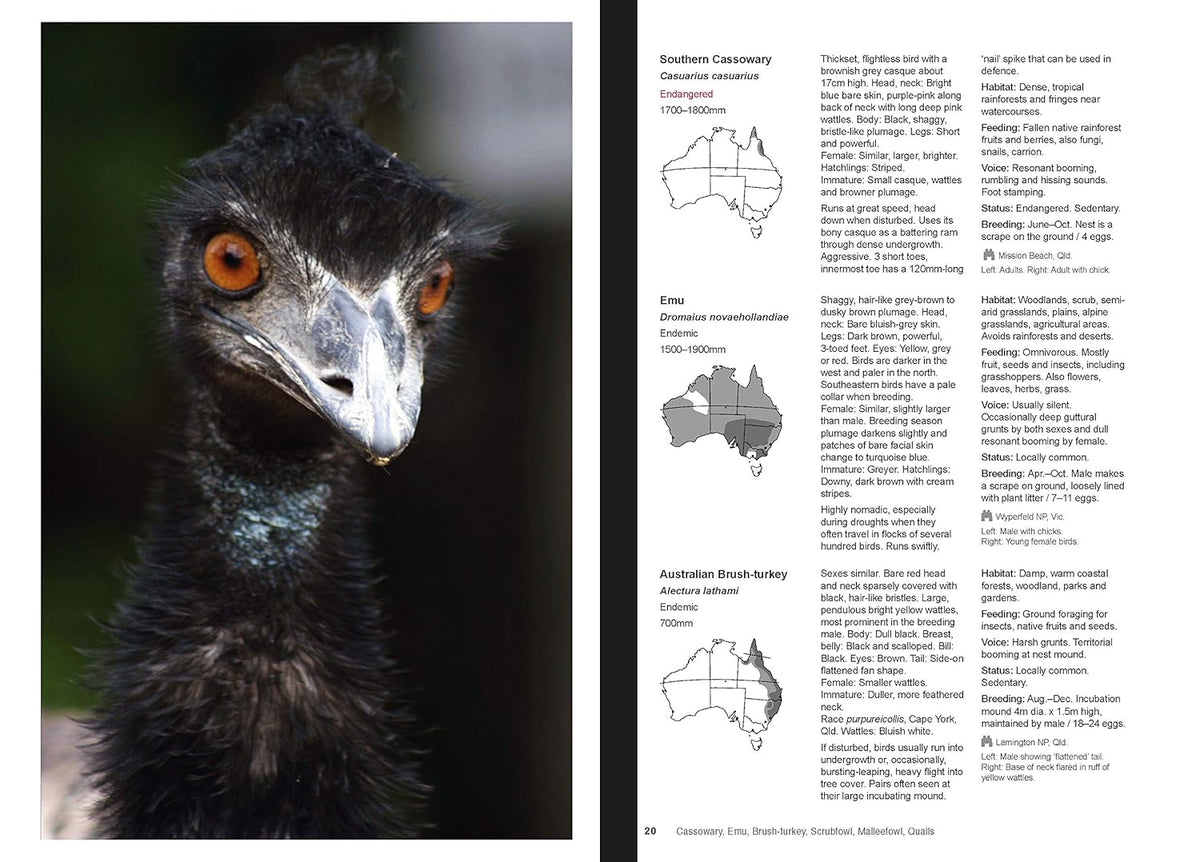 Buy The Complete Guide to Australian Birds – The Chart & Map Shop