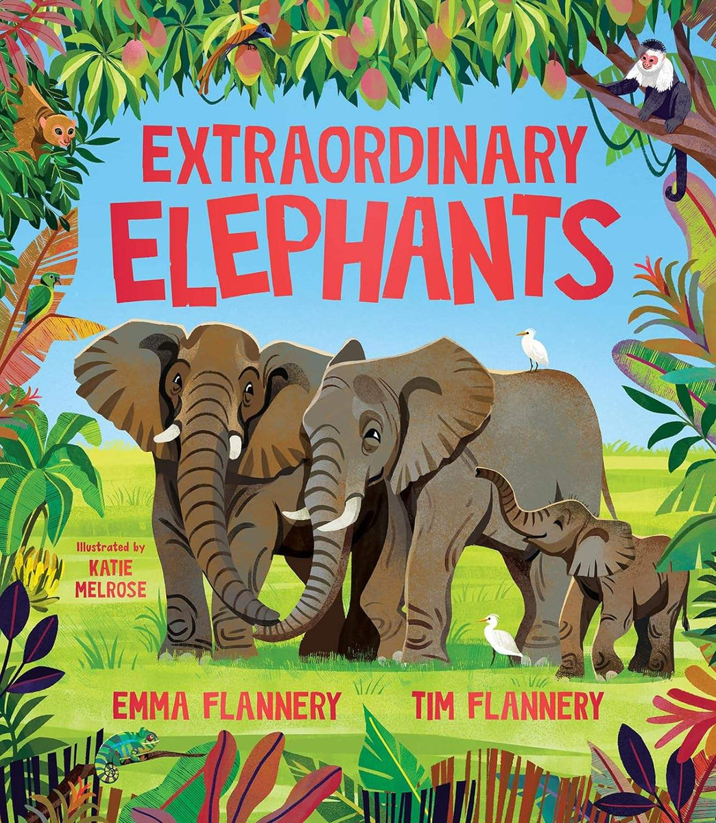 Buy Extraordinary Elephants – The Chart & Map Shop