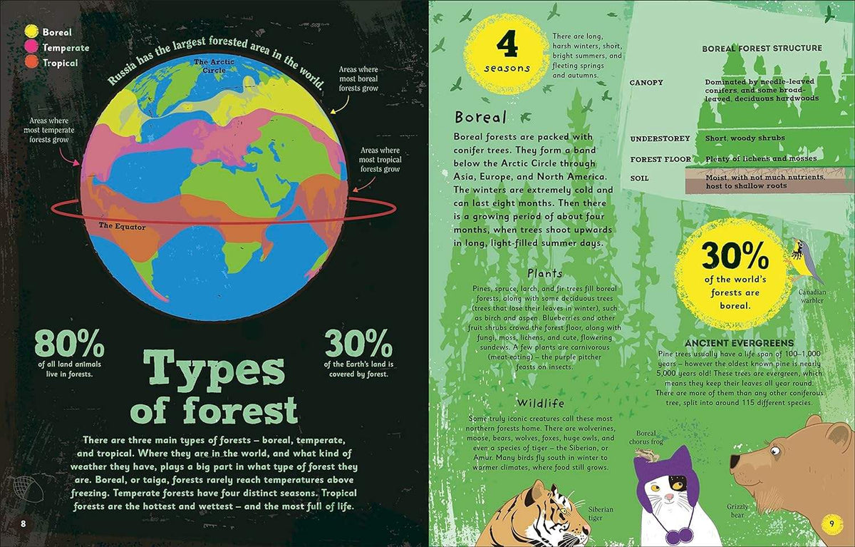 Buy The Magic of Forests: A Fascinating Guide to Forests Around the ...