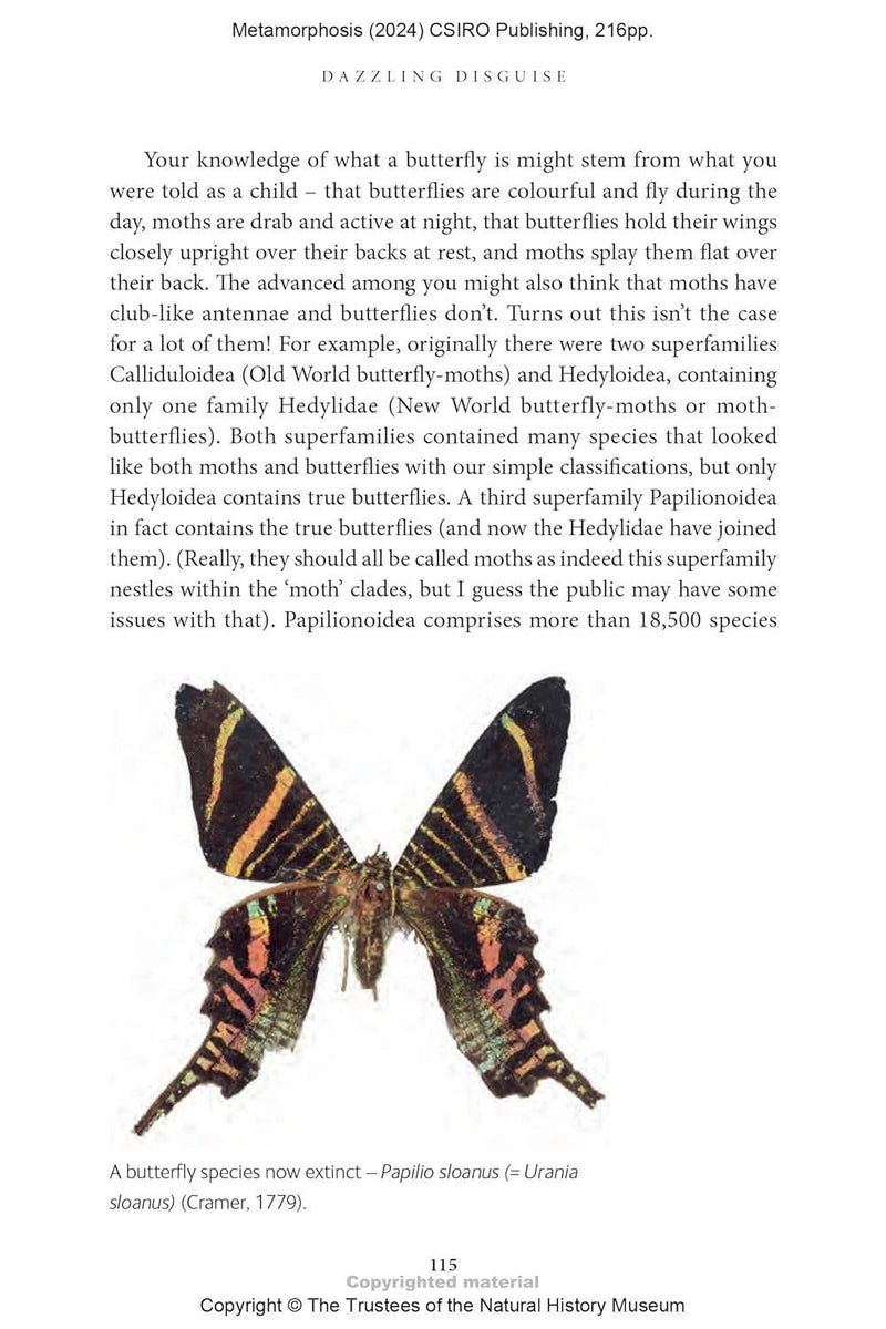 Buy Metamorphosis: How Insects are Changing Our World – The Chart & Map ...