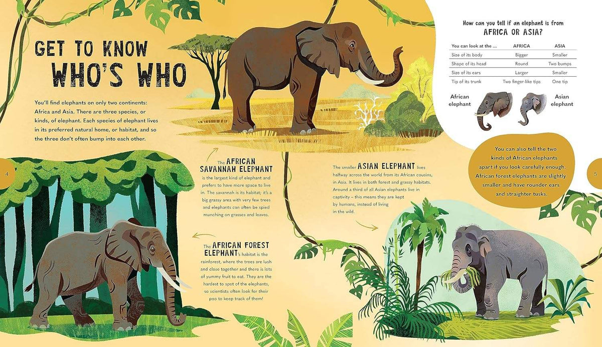 Buy Extraordinary Elephants – The Chart & Map Shop