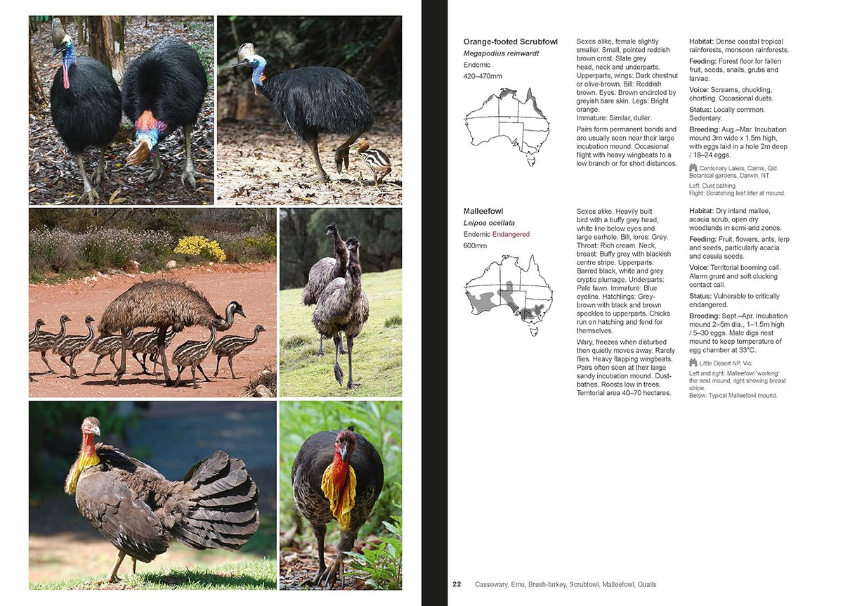 Buy The Complete Guide to Australian Birds – The Chart & Map Shop