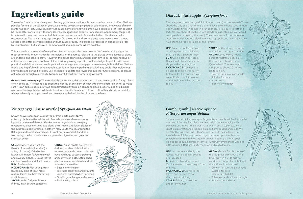 Buy First Nations Food Companion: How to Buy, Cook, Eat and Grow ...