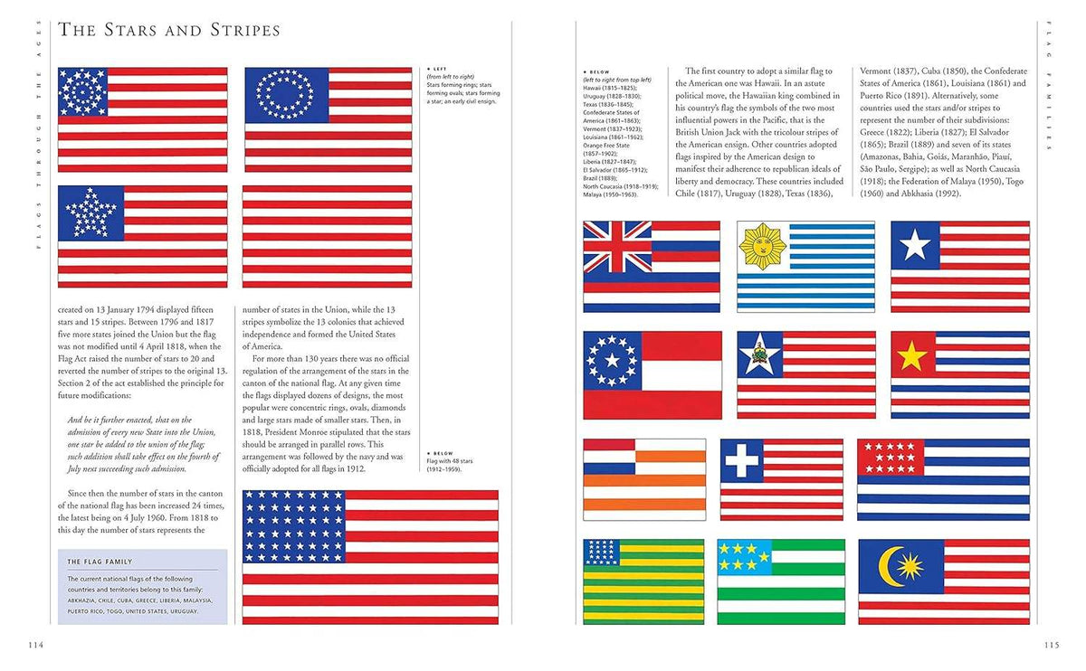 Buy The World Encyclopedia of Flags: A Definitive Guide to ...