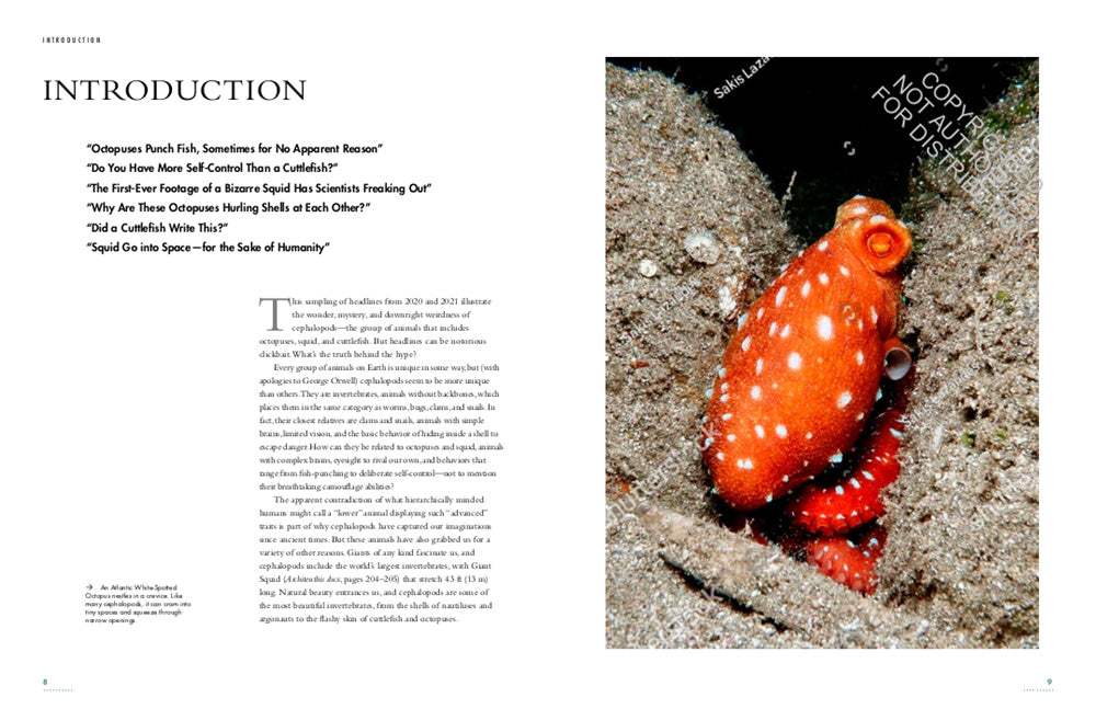 Buy The Lives of Octopuses and Their Relatives: A Natural History of ...