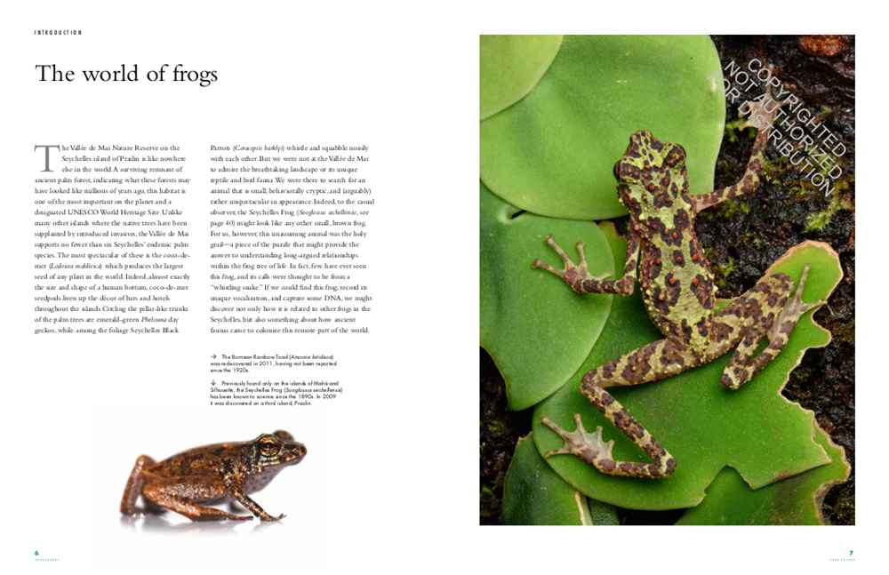Buy The Lives of Frogs: A Natural History – The Chart & Map Shop