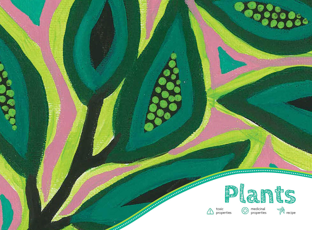 Buy Bush Tukka Guide (2nd Edition) – The Chart & Map Shop