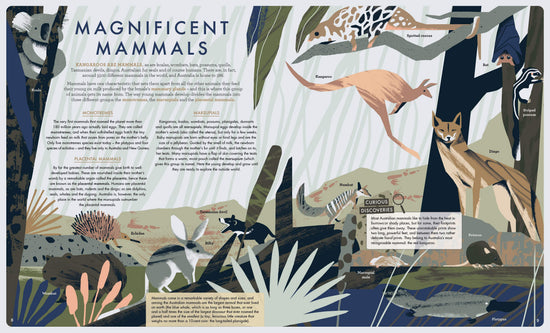 Buy Wild Australian Life – The Chart & Map Shop