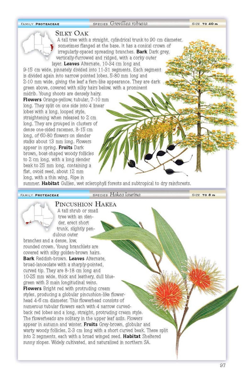 Buy Cronin's Key Guide to Australian Trees – The Chart & Map Shop