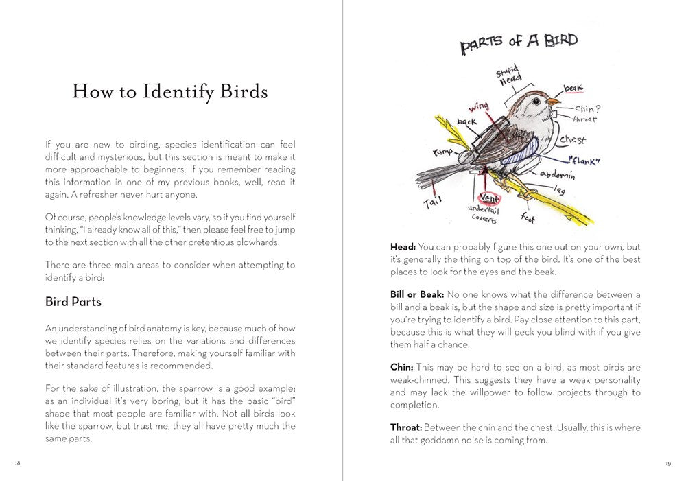 Buy A Dumb Birds Field Guide to the Worst Birds Ever – The Chart & Map Shop
