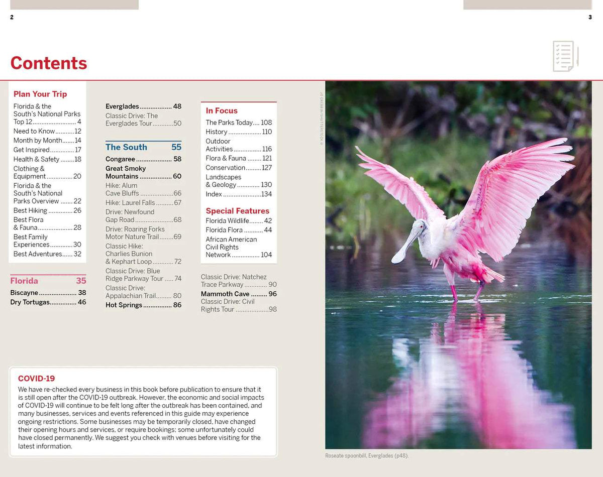 Buy Lonely Planet Florida & the South's National Parks (1st Edition ...