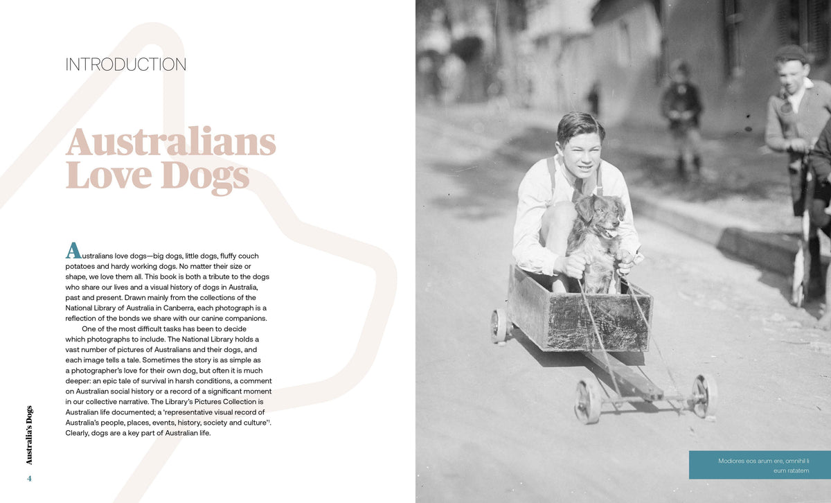 Buy Australia's Dogs – The Chart & Map Shop