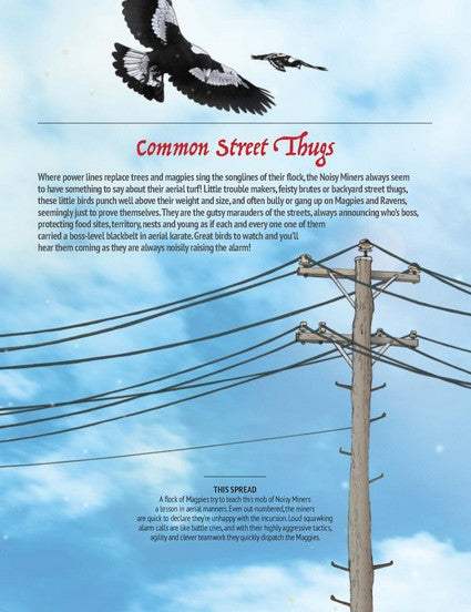 Buy Australian Backyard Birds – The Chart & Map Shop