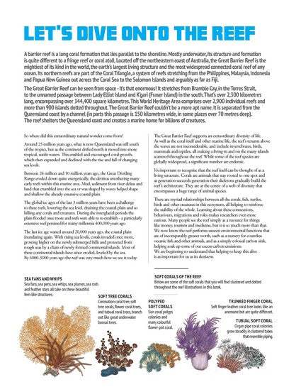 Buy Wildlife of Australia's Great Barrier Reef – The Chart & Map Shop