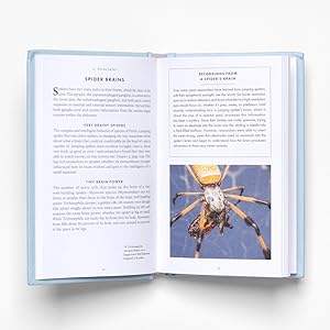 Buy The Little Book of Spiders – The Chart & Map Shop