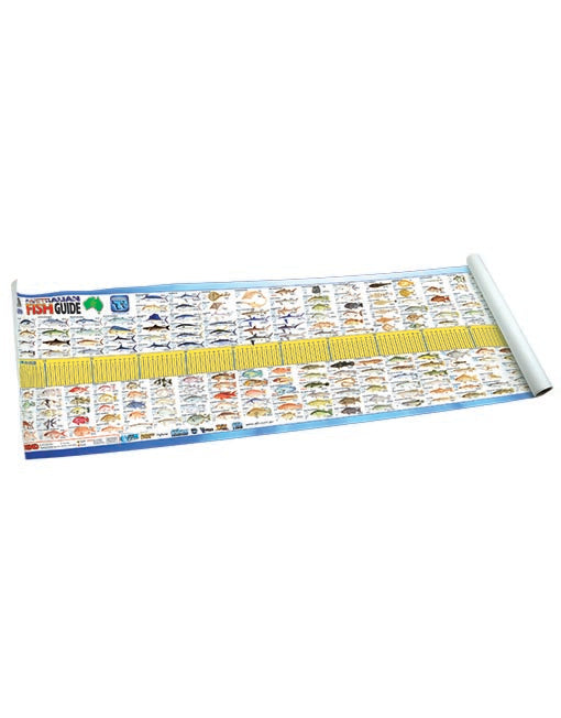 Buy Australian Fish ID Maxi Ruler – The Chart & Map Shop