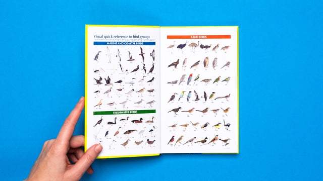 Buy Pocket Guide to Birds of Australia – The Chart & Map Shop