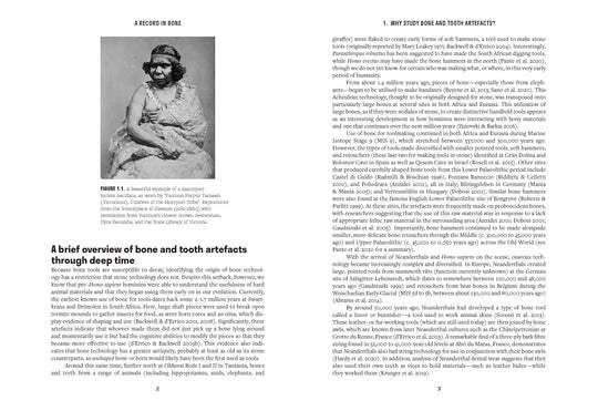 Buy A Record in Bone: Exploring Aboriginal and Torres Strait Islander ...