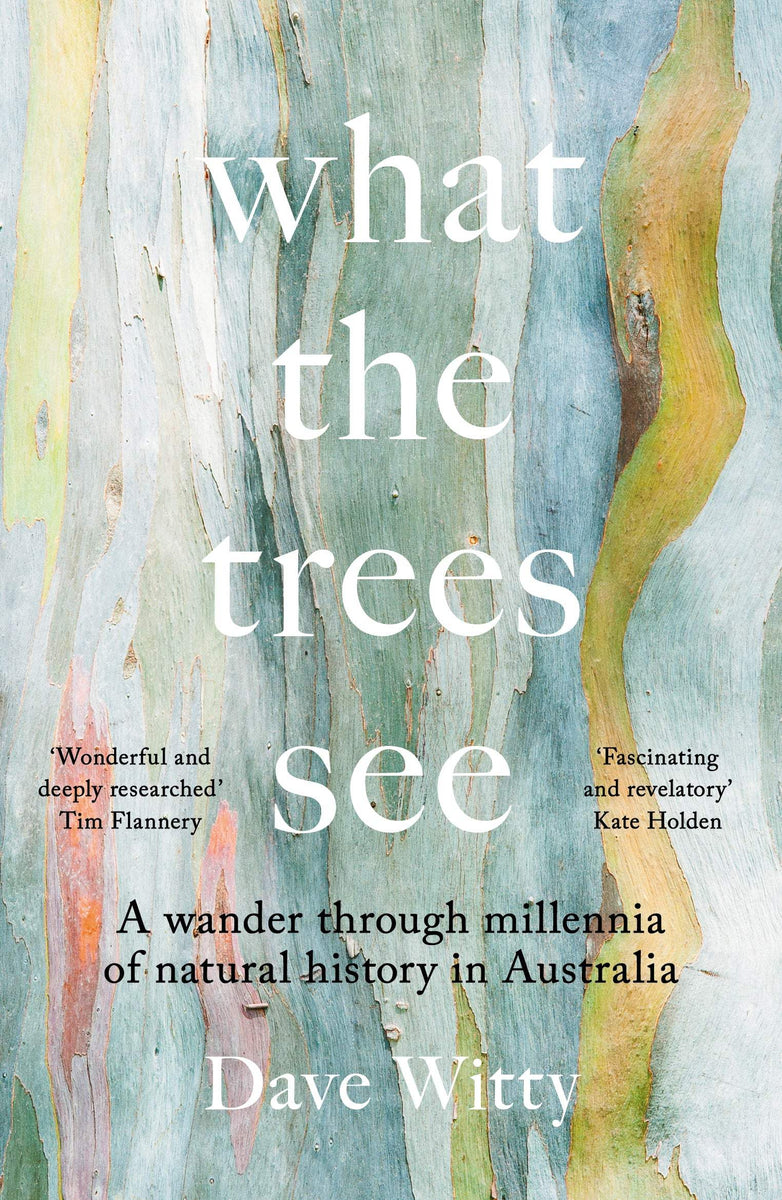 Buy What the Trees See: A Wander Through Millennia of Natural History ...