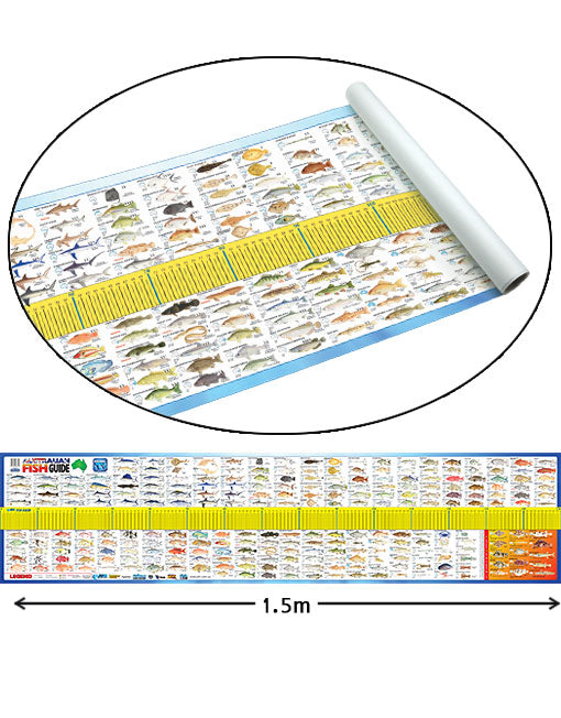 Buy Australian Fish ID Maxi Ruler – The Chart & Map Shop