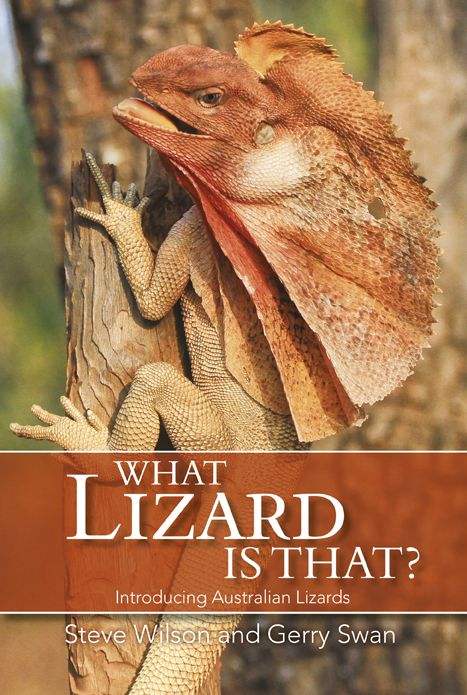 Buy What Lizard is That? Introducing Australian Lizards – The Chart ...