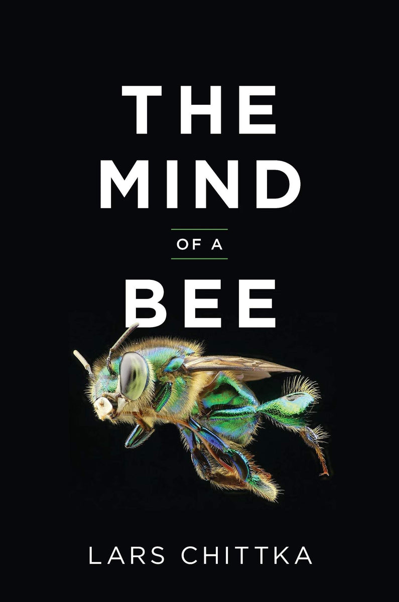 Buy The Mind of a Bee – The Chart & Map Shop